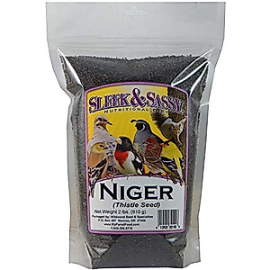 Niger (Nyjer) Thistle Bird Seed (2 lbs.)