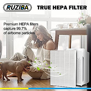 RUZIBA C545 Filter Replacement for Winix S Filter, Compatible with Winix C545 P150 B151 Air Purifier, Part# 1712-0096-00 and 2522-0058-00, 2 HEPA and 2 Pre-filter