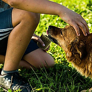 Citylife 2 PCS 2.5 LB Dog Food Containers Small Pet Cat Food Storage Container Pour Spout Measuring Cup Bird Dry Food Dispenser with Lid