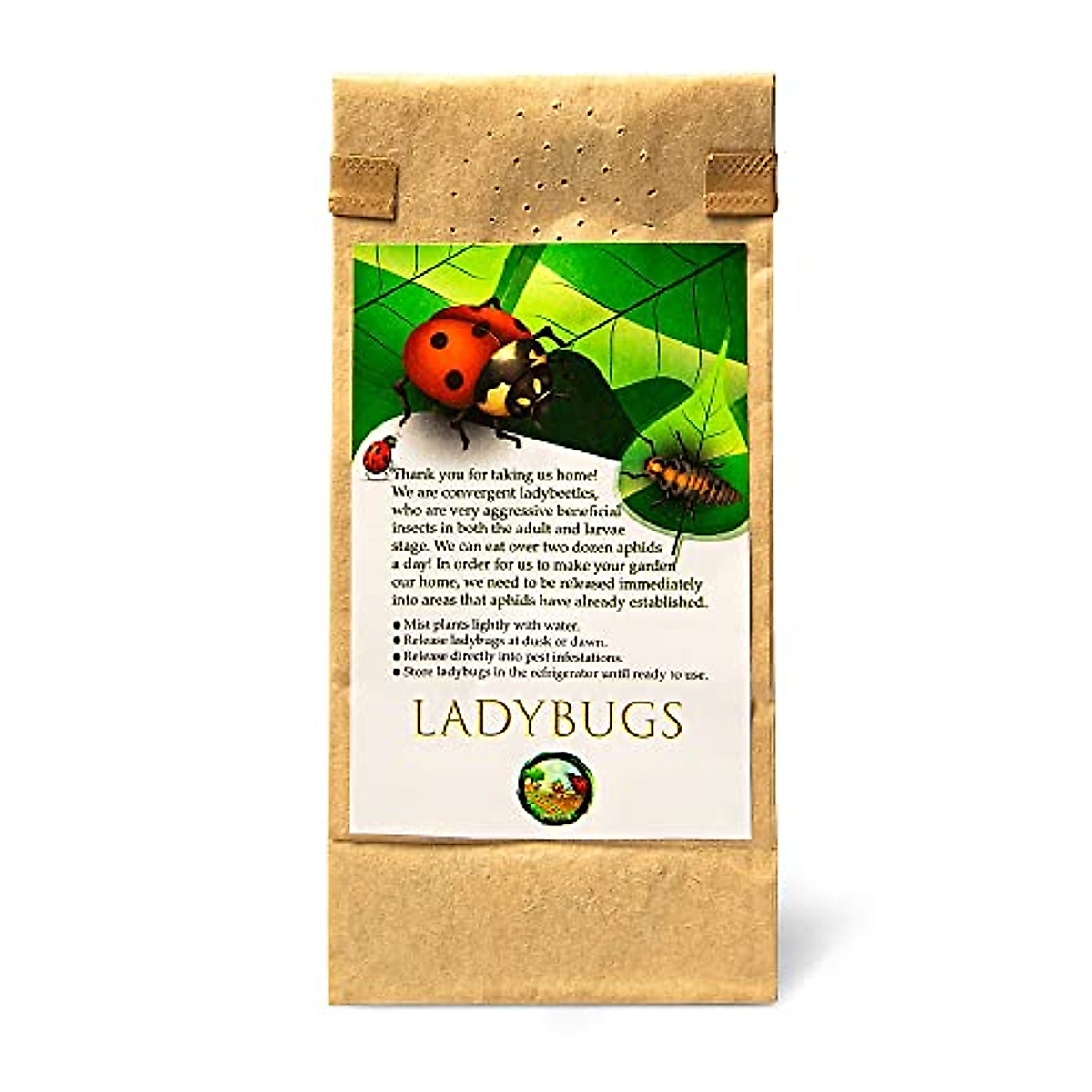 Gardner Time 150 Live Ladybugs - Good Bugs for Garden - Ladybugs - Guaranteed Live Delivery