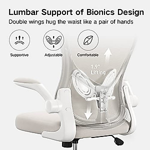 Hbada Ergonomic Office Chair with Up&Down Adjustable Lumbar Support and Flip Up Arm, Swivel Computer Desk Chair with Adjustable Height, Breathable Mesh Office Chair with PU Wheels, Gray