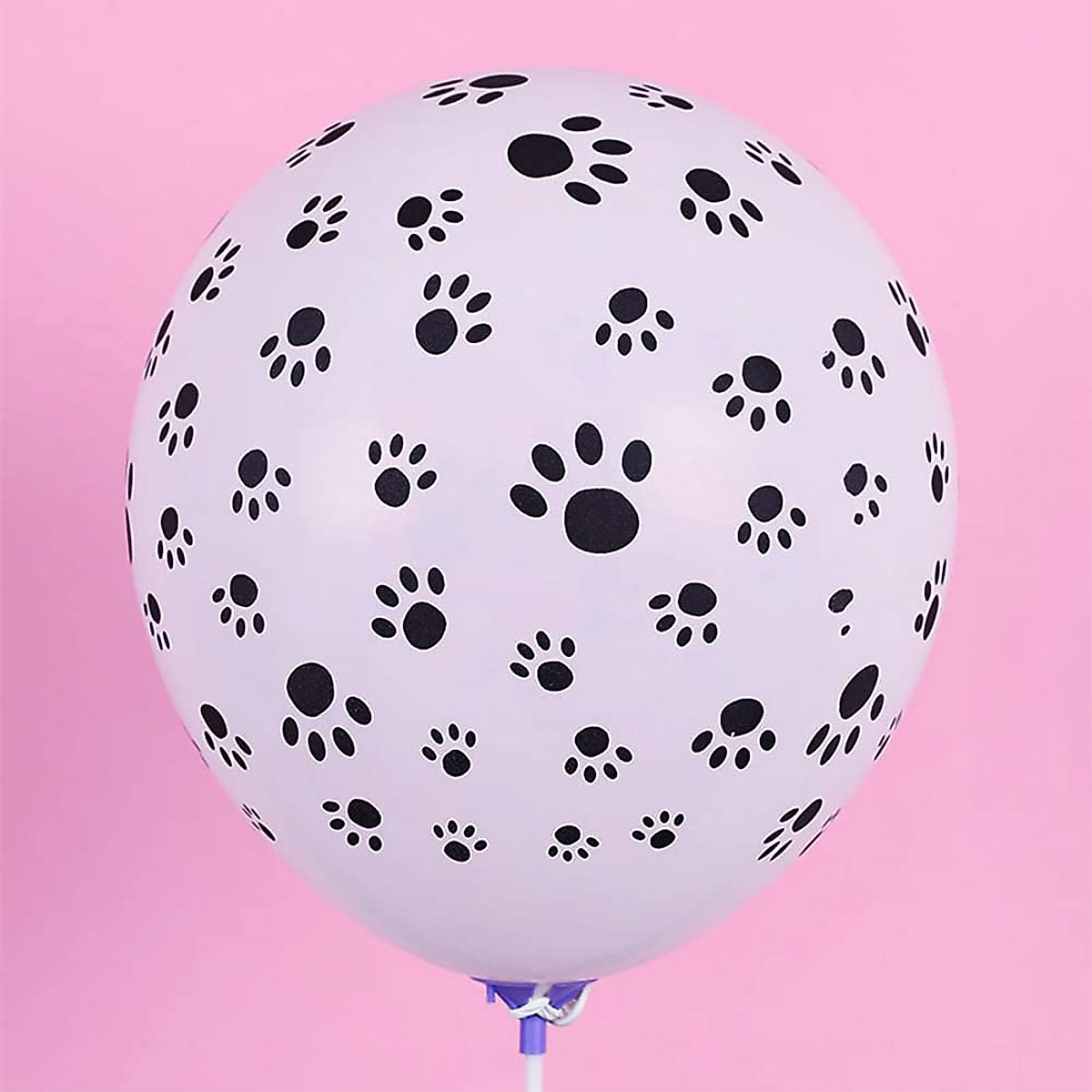 DelightBox Paw Prints-A-Round Biodegradable Latex Balloons, White with Black paw prints All-Around, 11-Inch (12-Units)