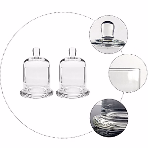 Bell Jar Glass Display Dome Cloche Terrarium Jar Plant Cover Cake Dessert Display Stand Candle Holder Cup Glass Dome for Plants Succulents Fairy Lights Photos 12. 8cm