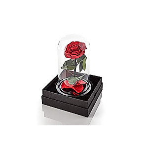 Sharper Image Timeless Rose - Red