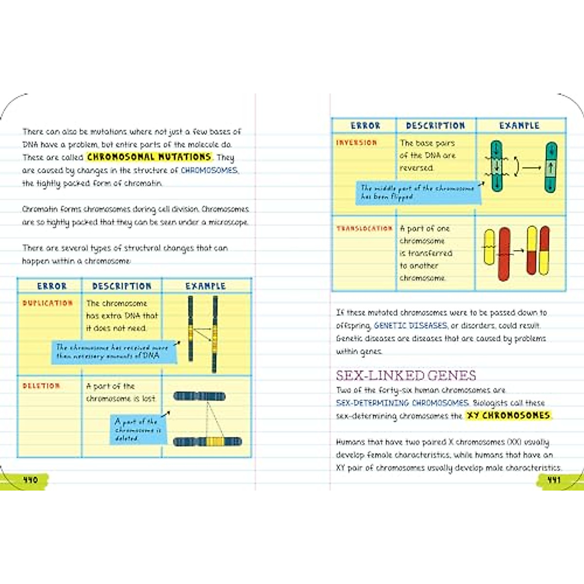 Workman Publishing Company - To Ace Biology in One Big Fat Notebook