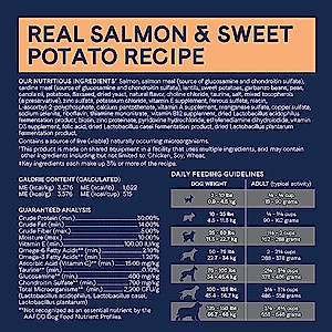 Canidae Pure Real Salmon & Sweet Potato Recipe Adult Dry Dog 22 LB