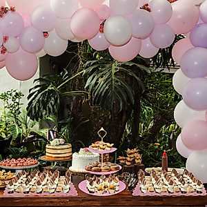 10 Pcs Pink Plastic Cake Stand, 4 Pcs 3 Tier Dessert Display Stands Cookie Tray Rack Serving Tray Cake Display Tower and 6 Pcs Dessert Trays for Wedding Baby Shower Tea Party (Pink)