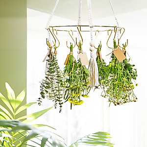 PROTITOUS 2pack Herb Drying Rack with 20pcs Golden Herb Dryer Hooks and 25PCS Brown Gift Tags and 32ft Natural Jute Twine herb Dryer,herb Dryer,Hanging Herb Dryer Rack(tassels style)