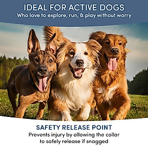 Flea and Tick Collar for Dogs and Cats- Long-Lasting 8-Month Protection Using Natural Plant-Based Oils - Safe for Pets, People and The Environment - 2-Pack Flea Collar for Dogs and Cats