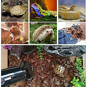 Lucky Farm Reptile Heating Lamp Bulb 2pcs Amphibian Ceramic Infrared Heat Lamp Emitter with no Light for Brooder Chicken Coop ,Hedgehog, Iguana Lizard Bearded Dragon Turtle Snake(Black, 100W)