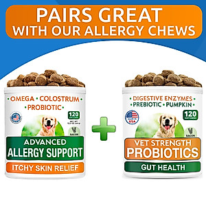 Allergy Relief Chews + Probiotics for Dogs - Digestive Enzymes for Allergies Itchy Skin w/Fish Oil Omega 3 - Dogs Digestive Health - Gas, Diarrhea,