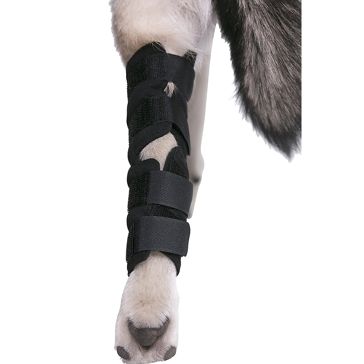 AGON® Dog Leg Braces for Back Leg wrap hock Compression Protects Wounds and Helps heal hind Legs Rear Ankle Joint, preventing Injuries, sprains Providing Stability for Dogs, Canines Arthritis (Small)
