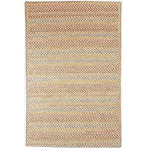 Super Area Rugs Braided Rug Sanford Indoor/Outdoor Braided Carpet for High Traffic Kitchen, Khaki Multi, 4' x 6' Rectangle