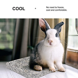 STOBOK 2Pcs Pet Cooling Mat, Granite Material, 9x9cm, Rabbit, Hamster, Chinchilla