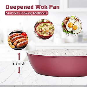KOCH SYSTEME CS 10 Inch Nonstick Frying Pan, Pink Egg Pan with Lid, Nonstick Omelet Pan Skillet for all Stove Tops Include Induction Cooker, small wok with Heat Resistant Handle, APEO & PFOA-Free,Pink