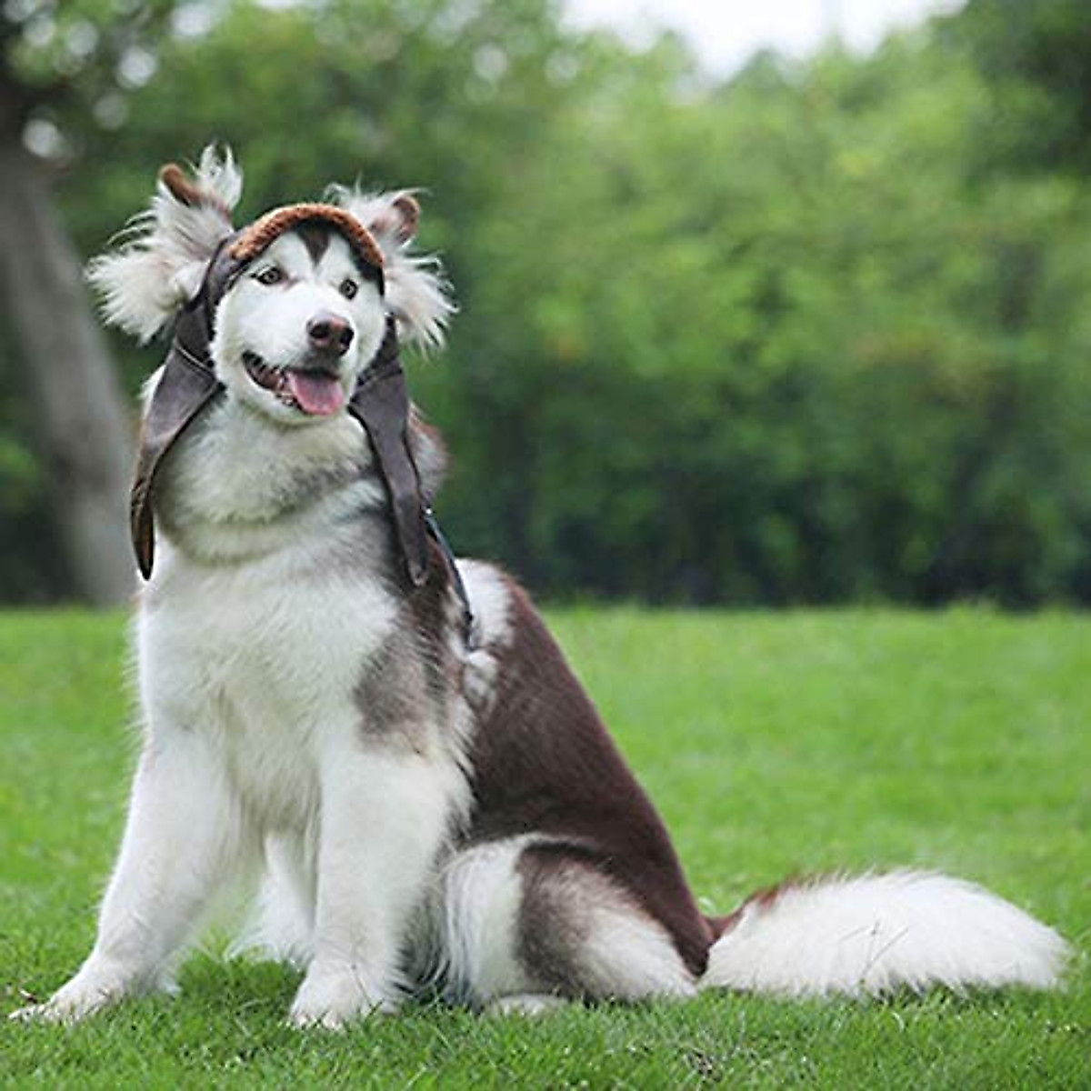 Pet Pilot Hat,Dog Cat PU Leather Aviator Fleece Lined Winter Warm Costume Caps,with Ear Holes,for Small Medium Large Dogs(Brown,S)