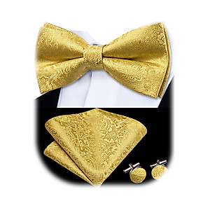 Dubulle Mens Pre-tied Bowtie and Pocket Square Set Paisley/Striped/Checks Bowties for Men,A Gold