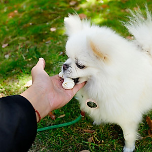 MON2SUN Dog Rawhide Knot Bones Small Rawhide Bones Mini Dog Chew Bones Natural 2.5 Inch 100 Count for Puppy and Small Dogs