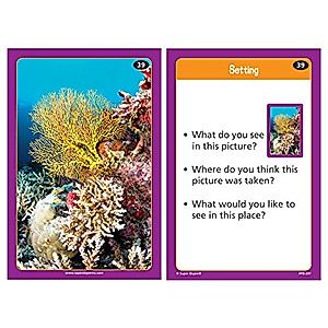 Super Duper Publications | Photo Understanding Inferences and More! Super Fun Deck | Critical Thinking Flash Cards | Great for Autistic Children | Ask Literal, Inferential, or Expansion Questions