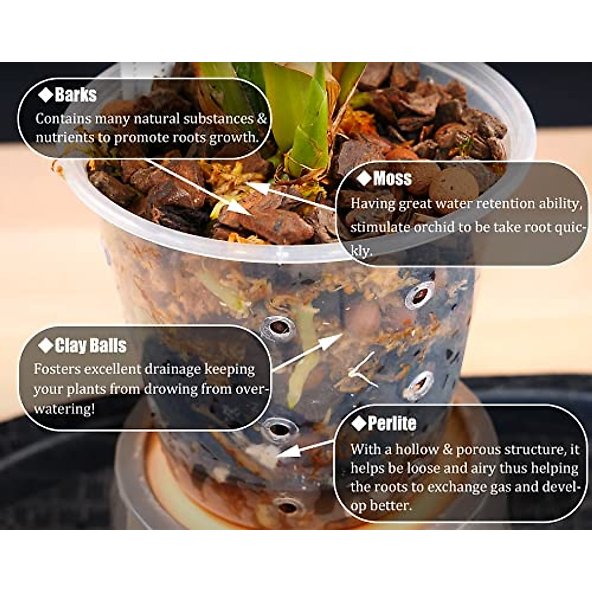 O-FarFarm Orchid Potting Mix 1 qt, Mixture of Orchid Bark, Perlite, Clay Pebble, and Sphagnum Moss, Premium Grade Recipe for Proper Root Development, Fits for Phalaenopsis, Cattleyas, Dendrobiums etc