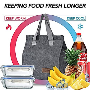 TELLUMO Lunch bag, Insulated Lunch Bag for Women Men Large Lunch Box Container Reusable Leakproof Tote for Office, Work, School, Beach or Travel (Minimalist Grey)