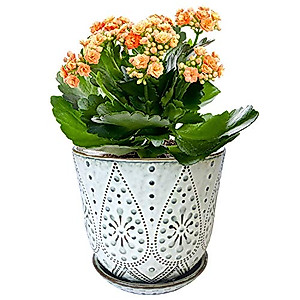 Gepege 6 Inch Beaded Ceramic Planter Set of 2 with Drainage Hole and Saucer for Plants, Indoor-Outdoor Large Round Succulent Orchid Flower Pot (Smoked Gray, for Inner-pots not Larger Than 5 Inch)