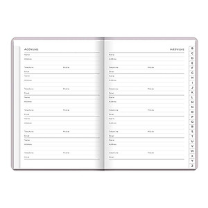 Letts Pastel A6 Address Book, White Paper, 192 Pages, 5.75 x 4.125 x 0.375 inches, Stone (B090035)