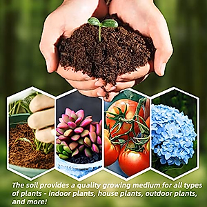 6 Qt Potting Soil, Organic Potting Mix for Indoor and Outdoor Plants, Succulent and Cactus Soil Potting Mix with Fast Draining Formula Natural Mixture Bonsai Soil for Plant Fast Growing