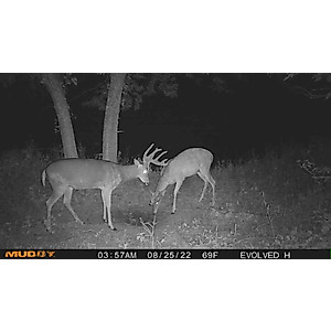 Muddy Morph outdoor AT&T Cellular Trail Camera 26MP, 1080p