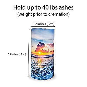 Set of 2 40 lbs Small ECO Scattering Tube Urn for Human Ashes, Biodegradable Decorative Spreading Cremation Urn for Adult Male Female Pet Dog Cat Ashes, Including ECO Artificial Flowers(Beach Sunset)