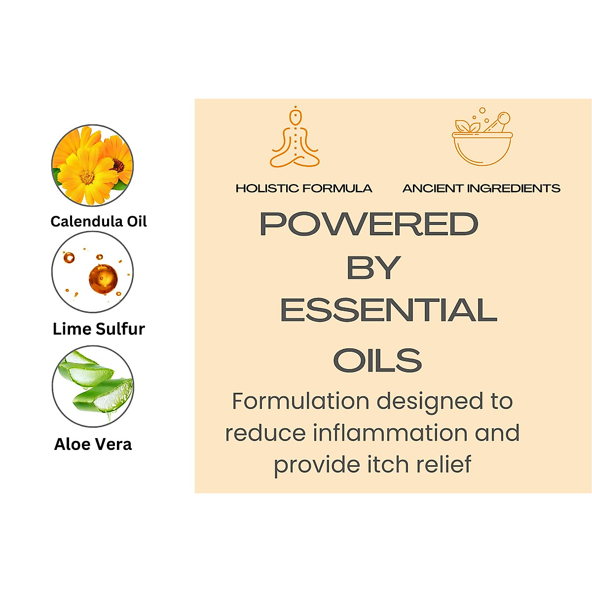 Healthy Paw Life Calendula Spray for Dogs, Cats, Horses – Hot Spot and Itch Relief Spray for Irritated and Dry Skin, Dermatitis and Allergies (4 fl oz)