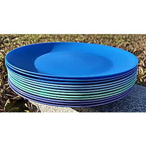 WEXINHAO Plastic Plates Reusable - 10 inch Unbreakable Dinner Plates set of 12 - BPA Free Dishwasher Safe Microwave Plates - Everyday Large Plates for Kids Kitchen Salad Party Outdoor