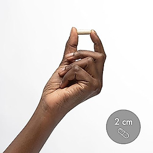 Dr. Mercola Zinc Plus Selenium, 30 Servings (30 Capsules), Dietary Supplement, Supports Immune Health, Non GMO, NSF Certified