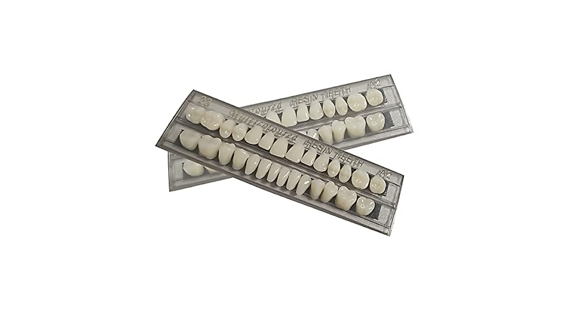 56 Pcs Acrylic Denture Teeth for Halloween & Learning