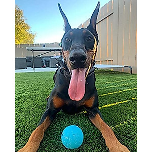 Chew King Fetch Balls Extremely Durable Natural Rubber Toy 3 inch Balls - Pack of 3 (CM-0263-CS01)