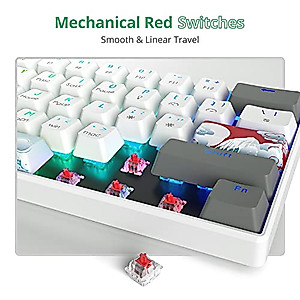 Owpkeenthy RGB Mechanical Keyboard 60 Percent Red Switches, Ultra-Compact Mini Wired Gaming Keybaord with Backlit PBT Dye-Sub Keycaps for Win/Mac/PC (White/Red Switch)