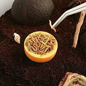 2Pcs Stainless Steel Feeding Tongs, Reptile Feeding Tweezers Long Handle Feeder Tools, Bug Feeding Clamp Cricket Tongs for Fish Aquariums, Reptiles Snakes Lizard Gecko Spider and Bird (Set 1)