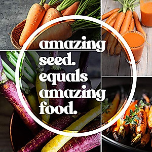 Purple Carrot Garden Seeds - 1 g ~600 Seeds - Heirloom, Non-GMO, Vegetable Garden & Microgreens Seed