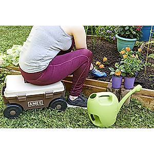 AMES 20213200 Rolling Lawn & Garden Storage Cart