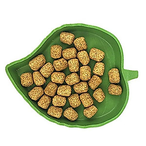 DIEWU Leaf Shape Bowl for Reptile, Food Water Bowl Plate Dish for Tortoise Snake Crawl Pet Drinking and Eating(S)