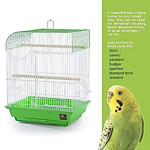 Prevue Pet Products South Beach Flat Top Bird Cage, Lime Green (SP50091),14 1/8" L x 11 1/4" W x 18 1/8" H