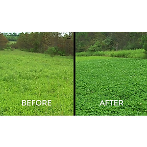 Whitetail Institute Slay Selective Broad-Leaf Weed Control Herbicide Specifically Developed for Deer Food Plots, 4 Ounces (1 acre)