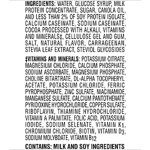 BOOST High Protein Ready to Drink Balanced Nutritional Drink, Rich Chocolate, 8 FL OZ (Pack of 12)