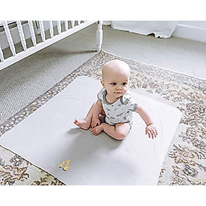 Spasilk Receiving Baby Blanket, 100% Cotton Flannel Blanket, Pack of 4, Gray Giraffe