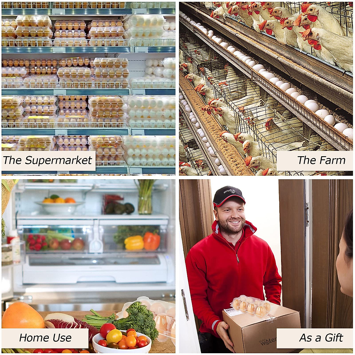 40 Pack Egg Cartons Cheap Bulk, Reusable Plastic Egg Cartons for Chicken Eggs, 1 Dozen Holds up to 12 Eggs, Clear Empty Reusable Egg Carton for Home Ranch Chicken Farm, Business Market Display