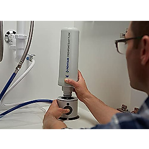 Pentair FreshPoint Replacement Cartridge for Easy Flow Undersink Water Filtration System, PFAS Water Filter, NSF Certified to Reduce PFOA/PFOS, Lasts Up to 1 Year or 3,000 Gallons