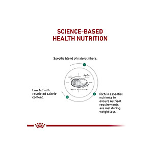 Royal Canin Veterinary Diet Feline Satiety Support Weight Management Dry Cat Food, 12 oz