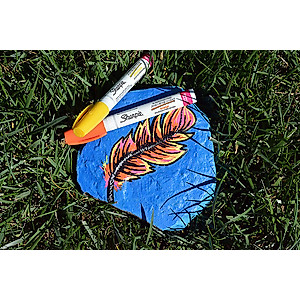 SHARPIE Oil-Based Paint Markers, Fine Point, Assorted Colors, 5 Count - Great for Rock Painting