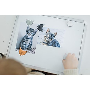 Pearhead Cat Bum Kitchen Magnets, Pet Themed Refrigerator Magnets, Cat Lover Home Décor, Funny Novelty Gift, School Locker Accessories, Set of 4