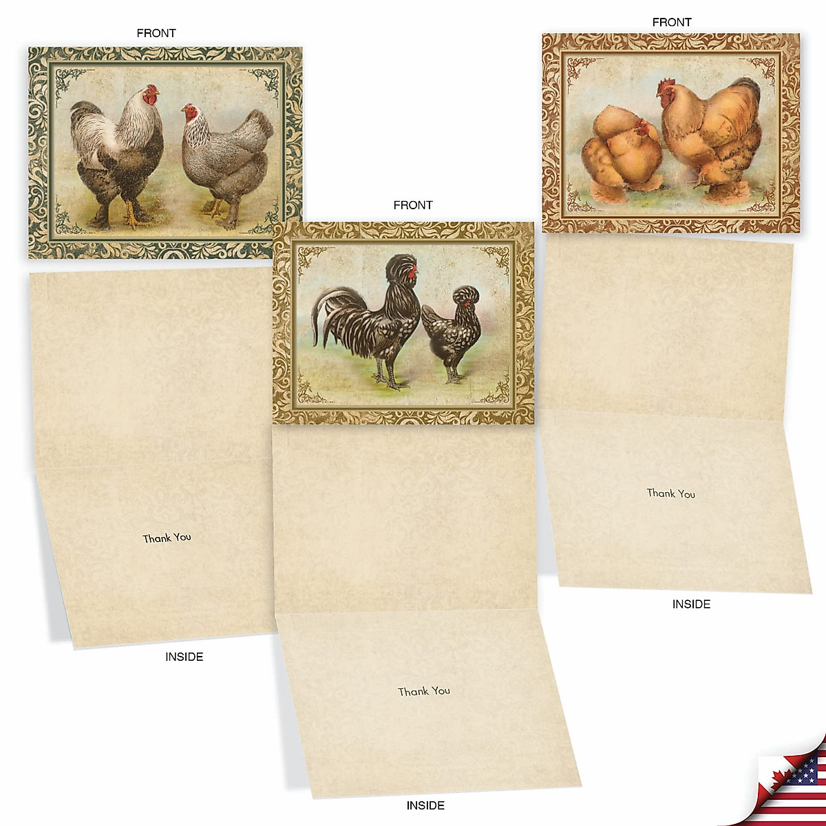 The Best Card Company - Boxed Set of 10 Bird Thank You Notecards with Envelopes 4 x 5.12 inch, Feathered Animal Gratitude - Card-A-Doodle-Do M2351TYG